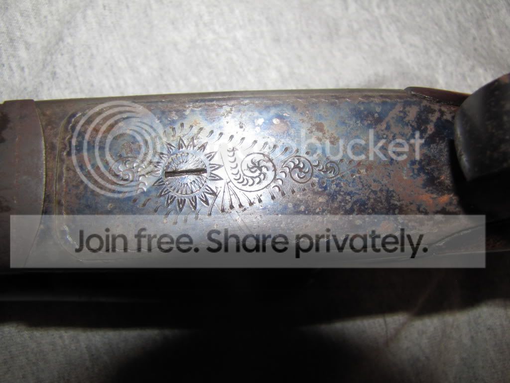 Habicht-pieper | Shotgun Forum