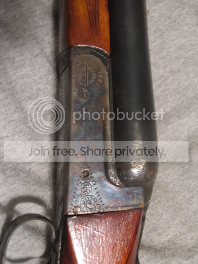Habicht-pieper | Shotgun Forum