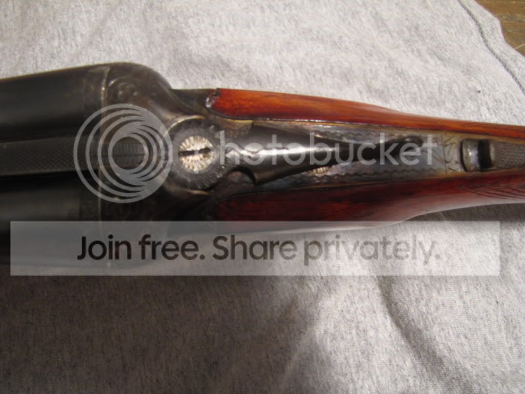 Habicht-pieper | Shotgun Forum