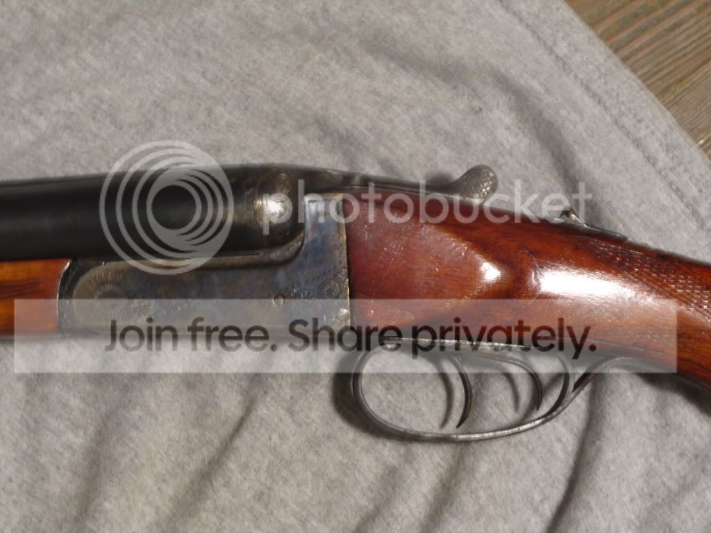 Habicht-pieper | Shotgun Forum