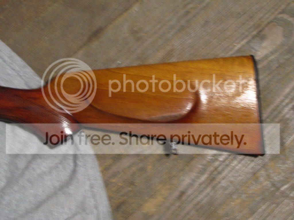 Habicht-pieper | Shotgun Forum