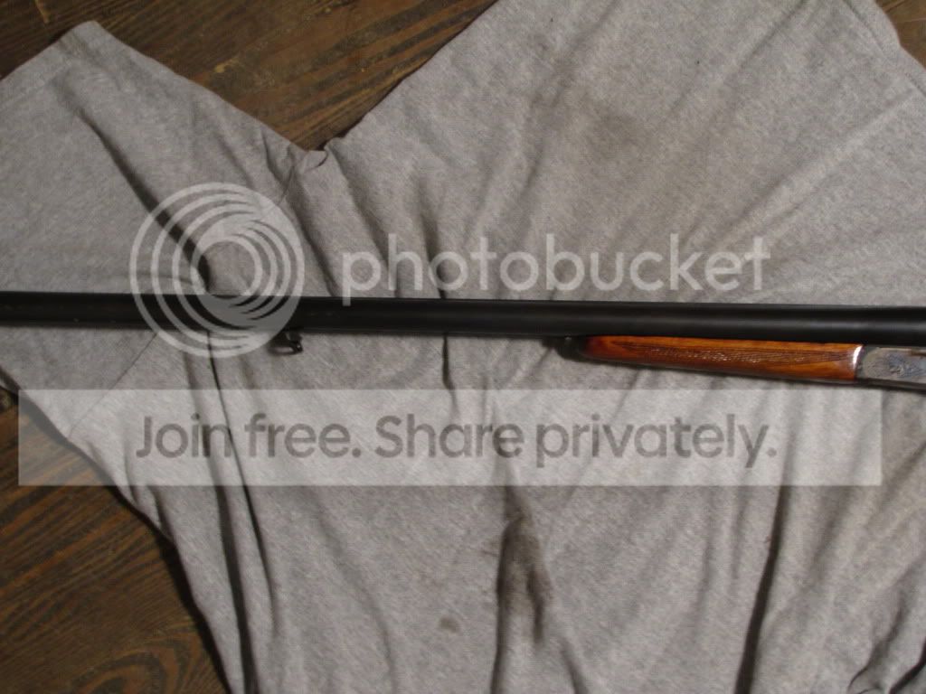 Habicht-pieper | Shotgun Forum