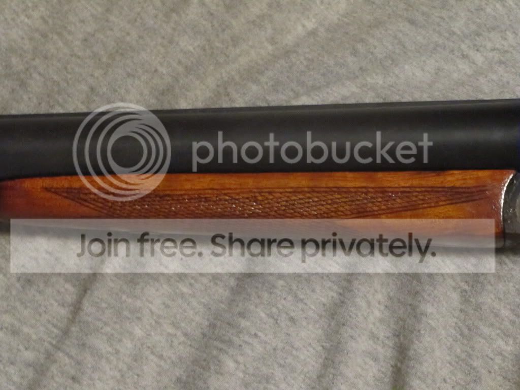 Habicht-pieper | Shotgun Forum