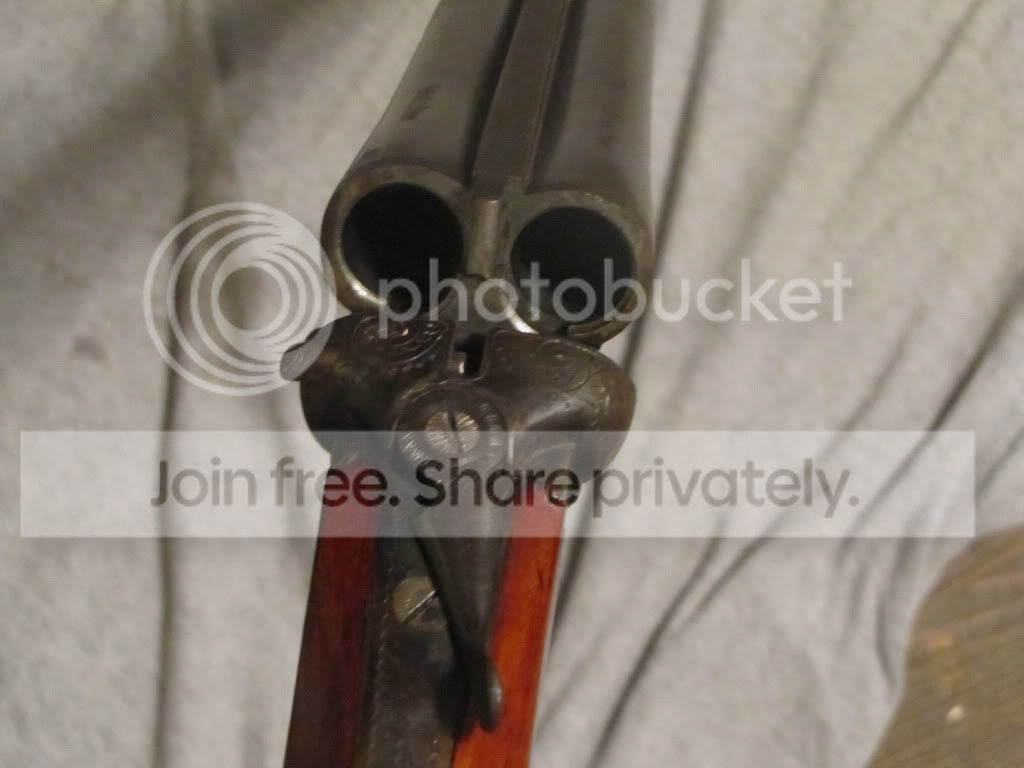 Habicht-pieper | Shotgun Forum