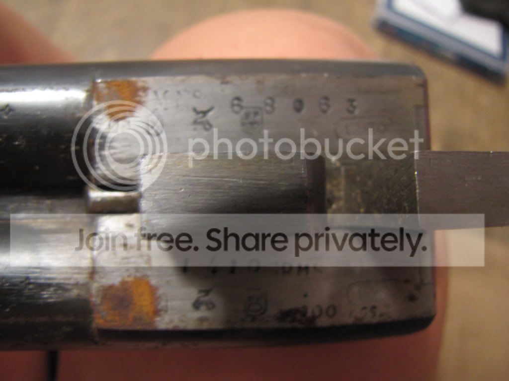 Habicht-pieper | Shotgun Forum